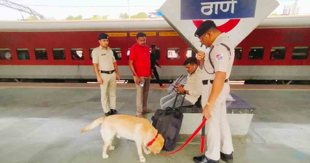 Central Railway : Pune railway police force gets 3 canine heroes | PUNE ...